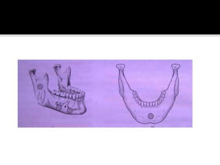 Growth rotations of the jaws | PPTX