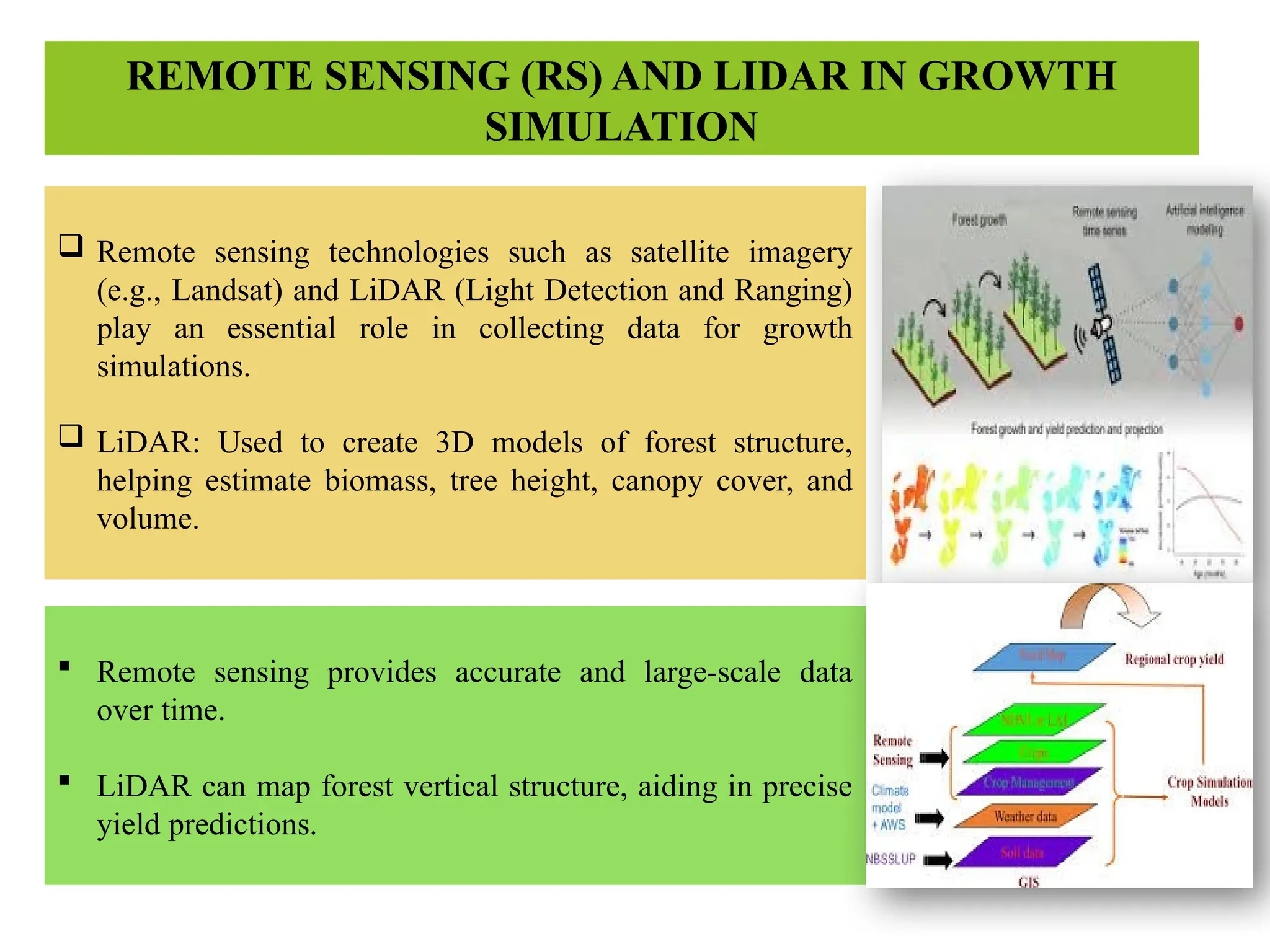 gROwTH SImUlation TeChNiCs yiled regulation | PPT
