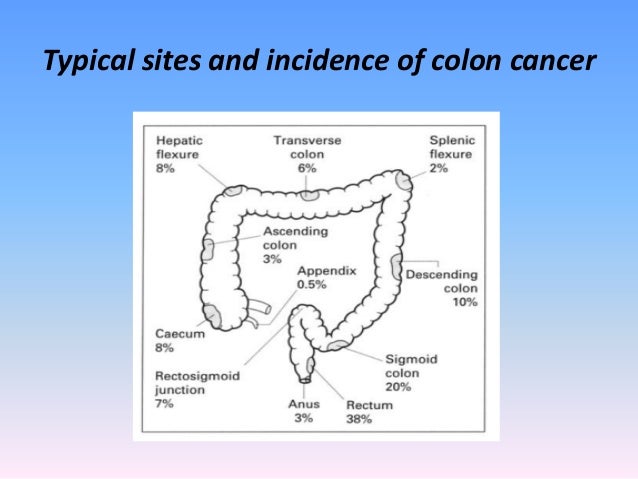 Growths of colon