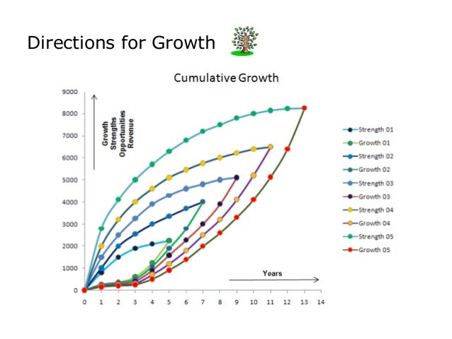Growth Strategy & Direction