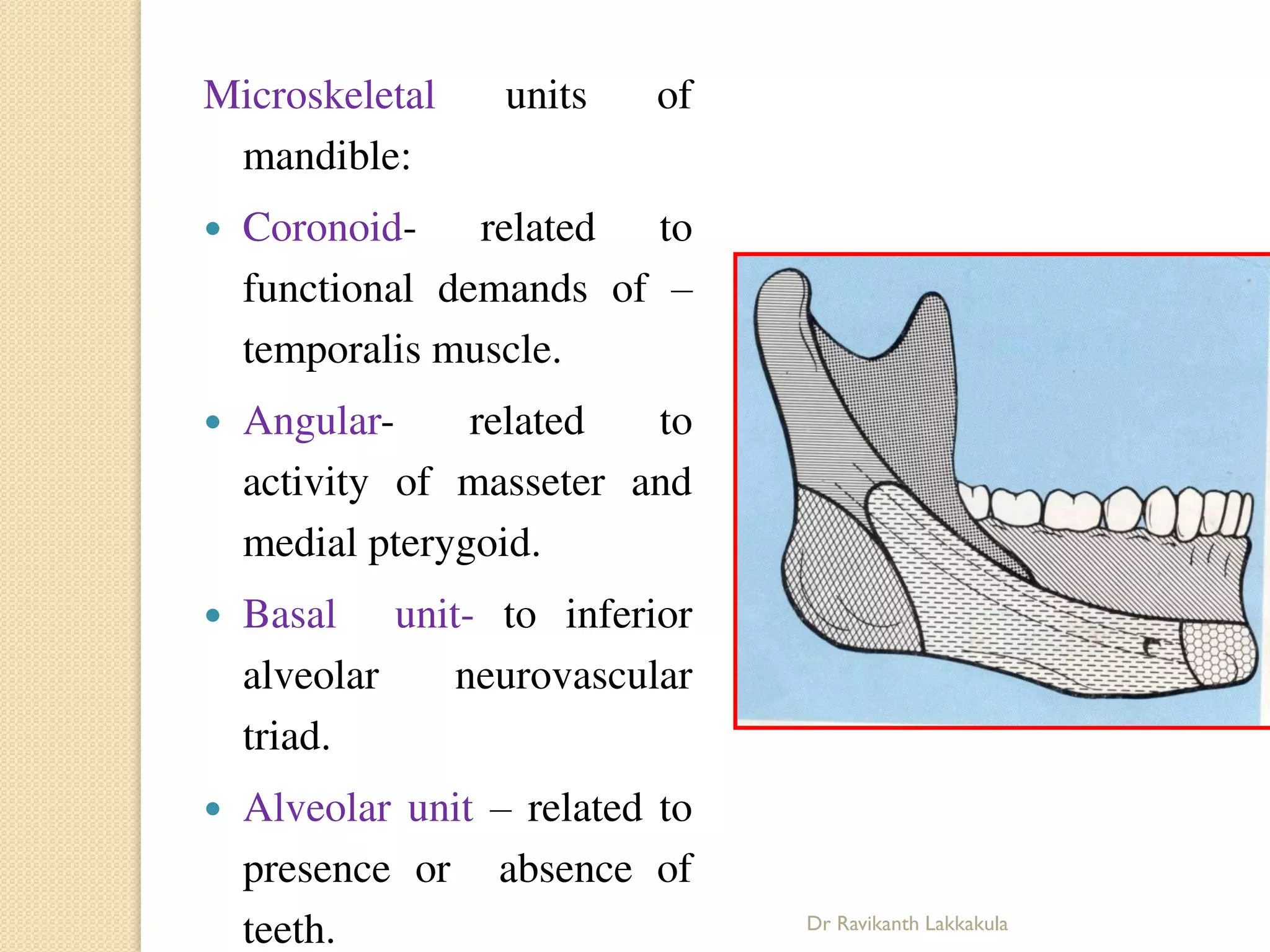 Recent advances in Growth theories - orthodontics | PDF