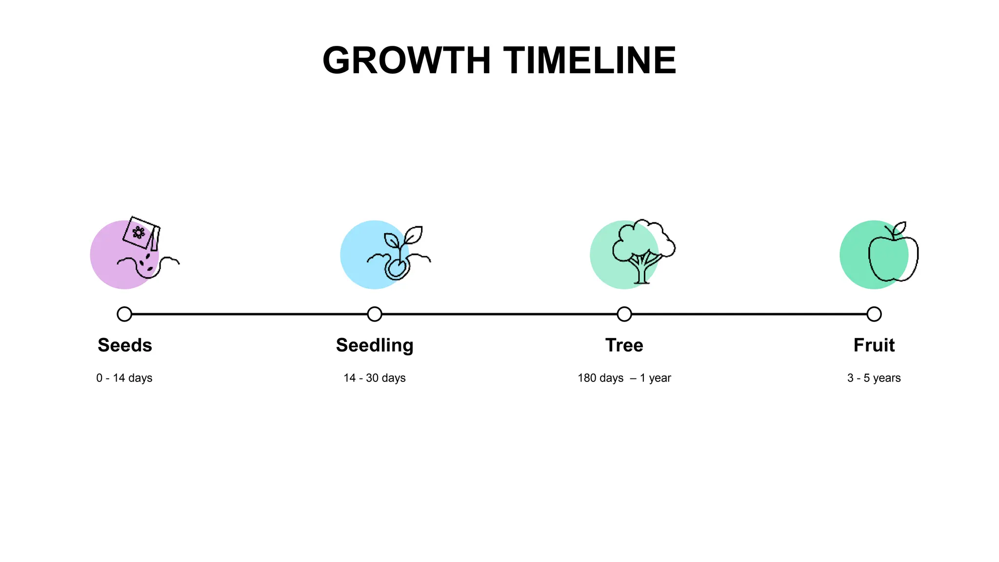 for fun presentation Growth timeline template.pptx