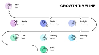 for fun presentation Growth timeline template.pptx
