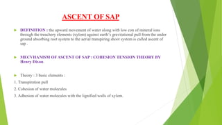 Physiology of water relations | PPTX