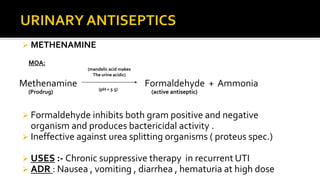 DRUGS OF UTI | PPTX