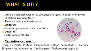 DRUGS OF UTI | PPTX