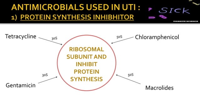 DRUGS OF UTI | PPTX | Infectious Diseases | Diseases and Conditions