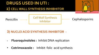 DRUGS OF UTI | PPTX