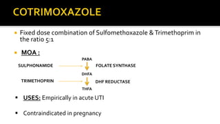 DRUGS OF UTI | PPTX