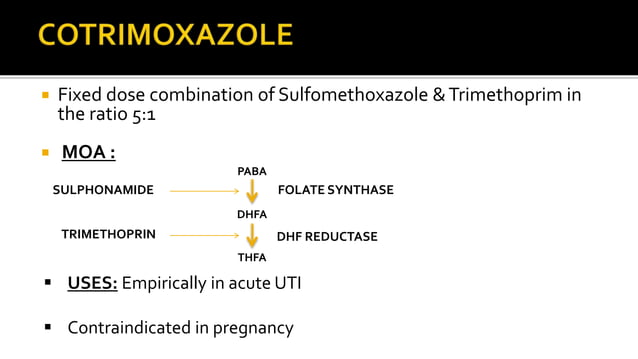 DRUGS OF UTI | PPTX | Infectious Diseases | Diseases and Conditions