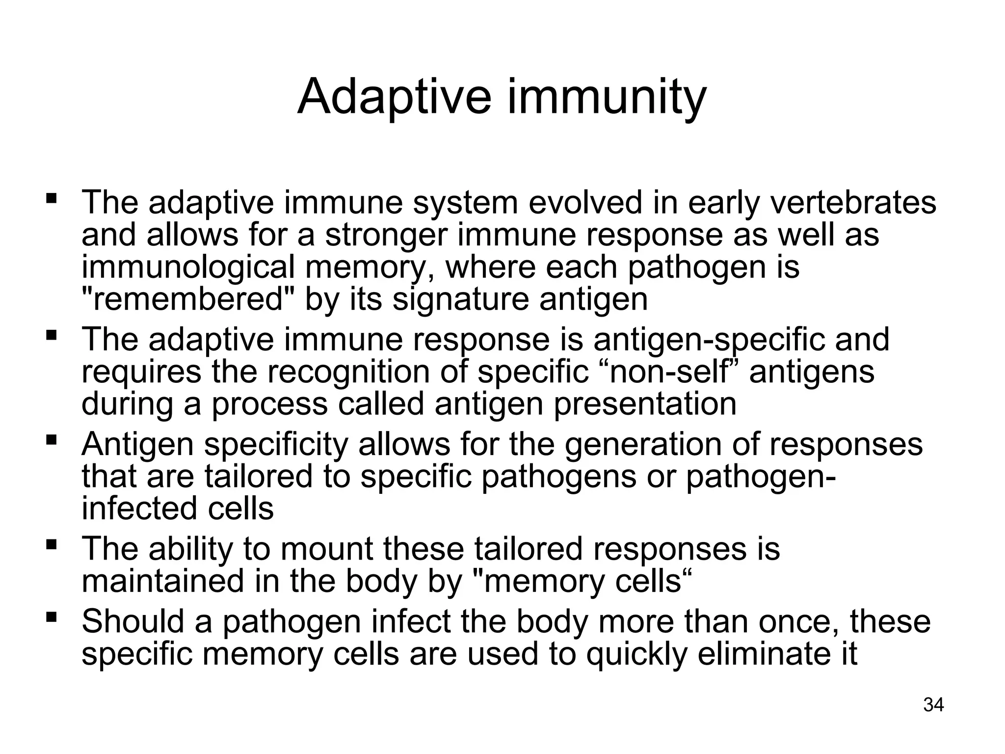 Anatomy lab. 8 lymphatics & immune sys. | PPT