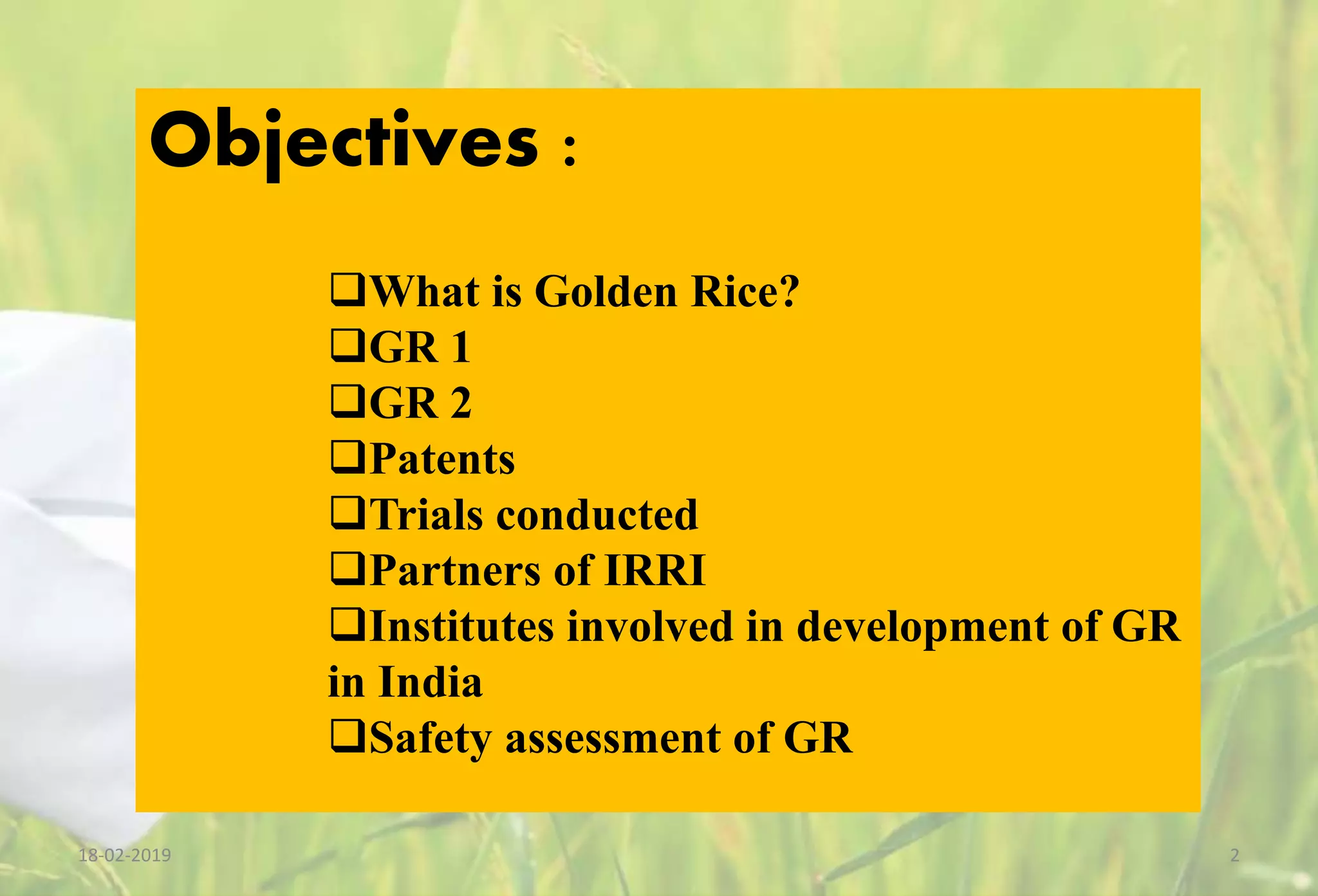 Golden rice , vit A enriched transgenic rice | PPTX | Agriculture ...
