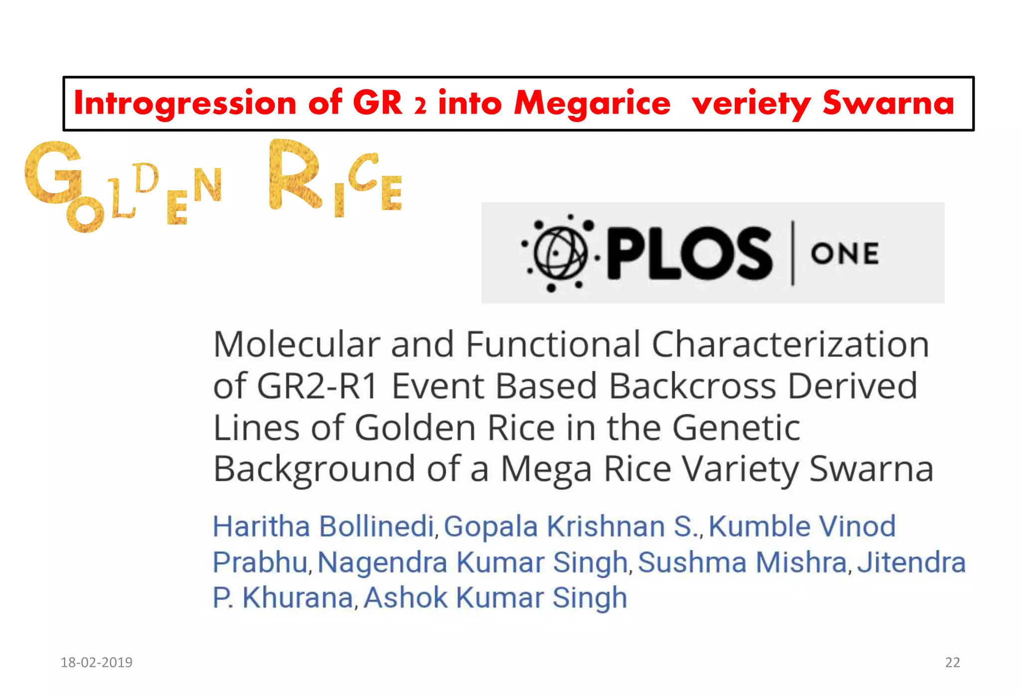 Golden rice , vit A enriched transgenic rice | PPTX | Agriculture ...
