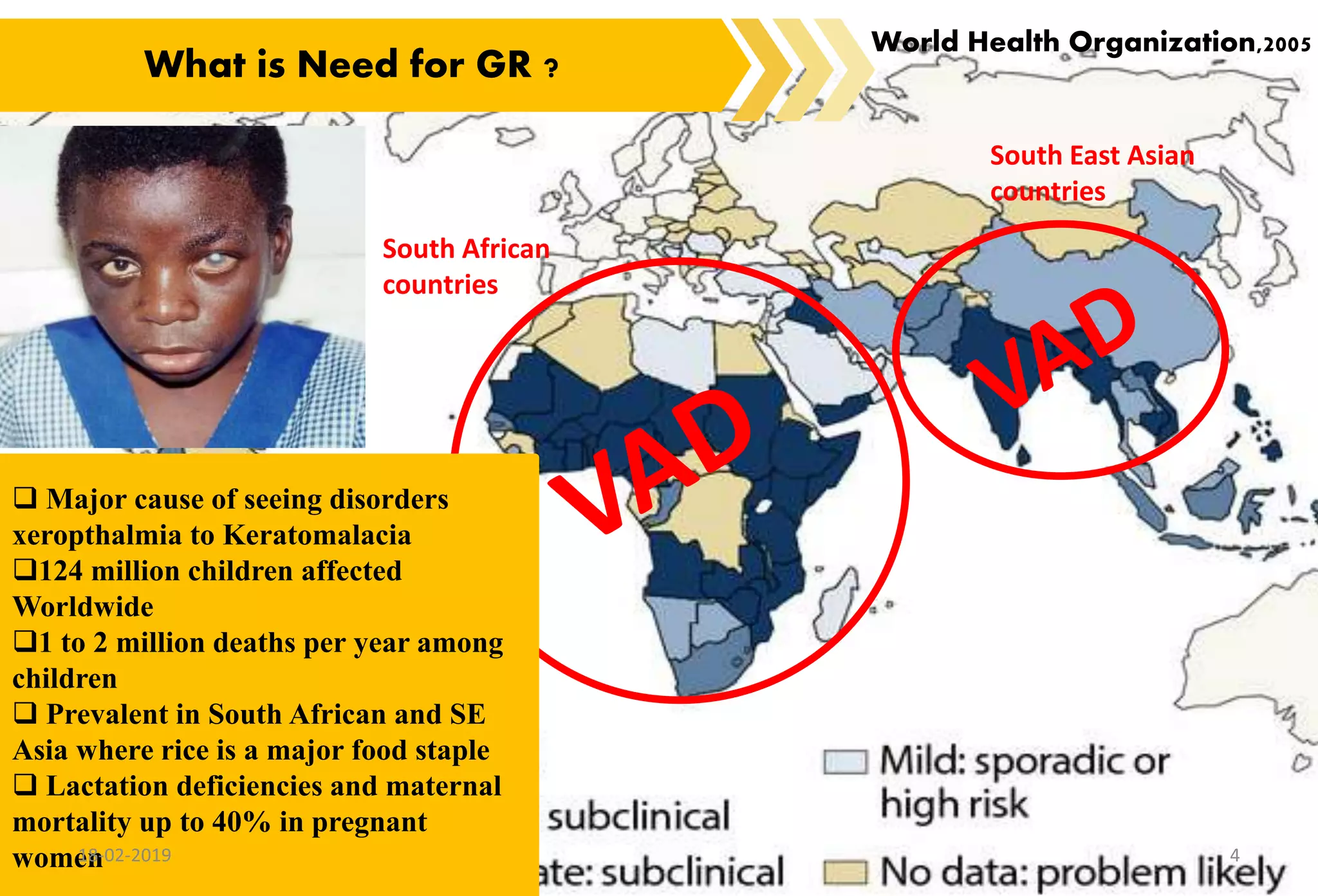 Golden rice , vit A enriched transgenic rice | PPTX | Agriculture ...