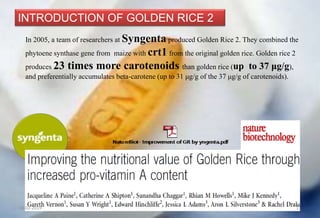 Golden rice , vit A enriched transgenic rice | PPTX
