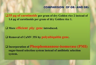 Golden rice , vit A enriched transgenic rice | PPTX