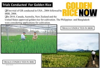 Golden rice , vit A enriched transgenic rice | PPTX | Agriculture ...