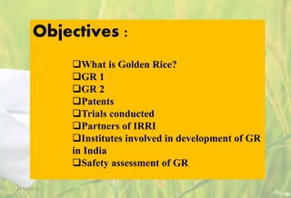 Golden rice , vit A enriched transgenic rice | PPTX
