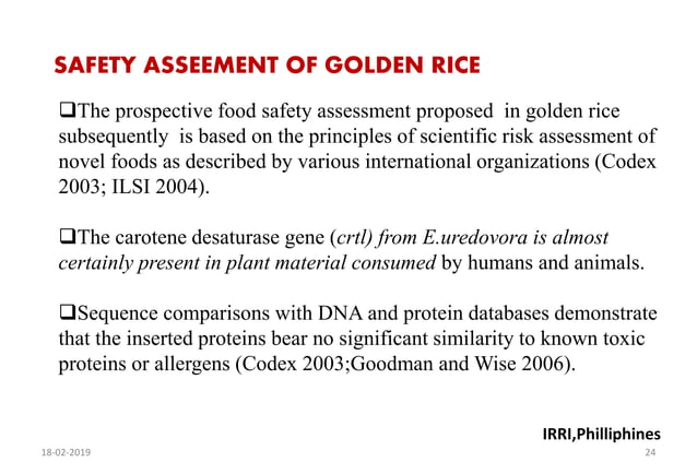 Golden rice , vit A enriched transgenic rice | PPTX | Agriculture ...