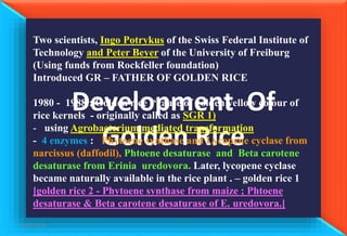 Golden rice , vit A enriched transgenic rice | PPTX | Agriculture ...