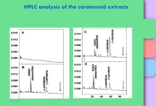 Golden rice , vit A enriched transgenic rice | PPTX