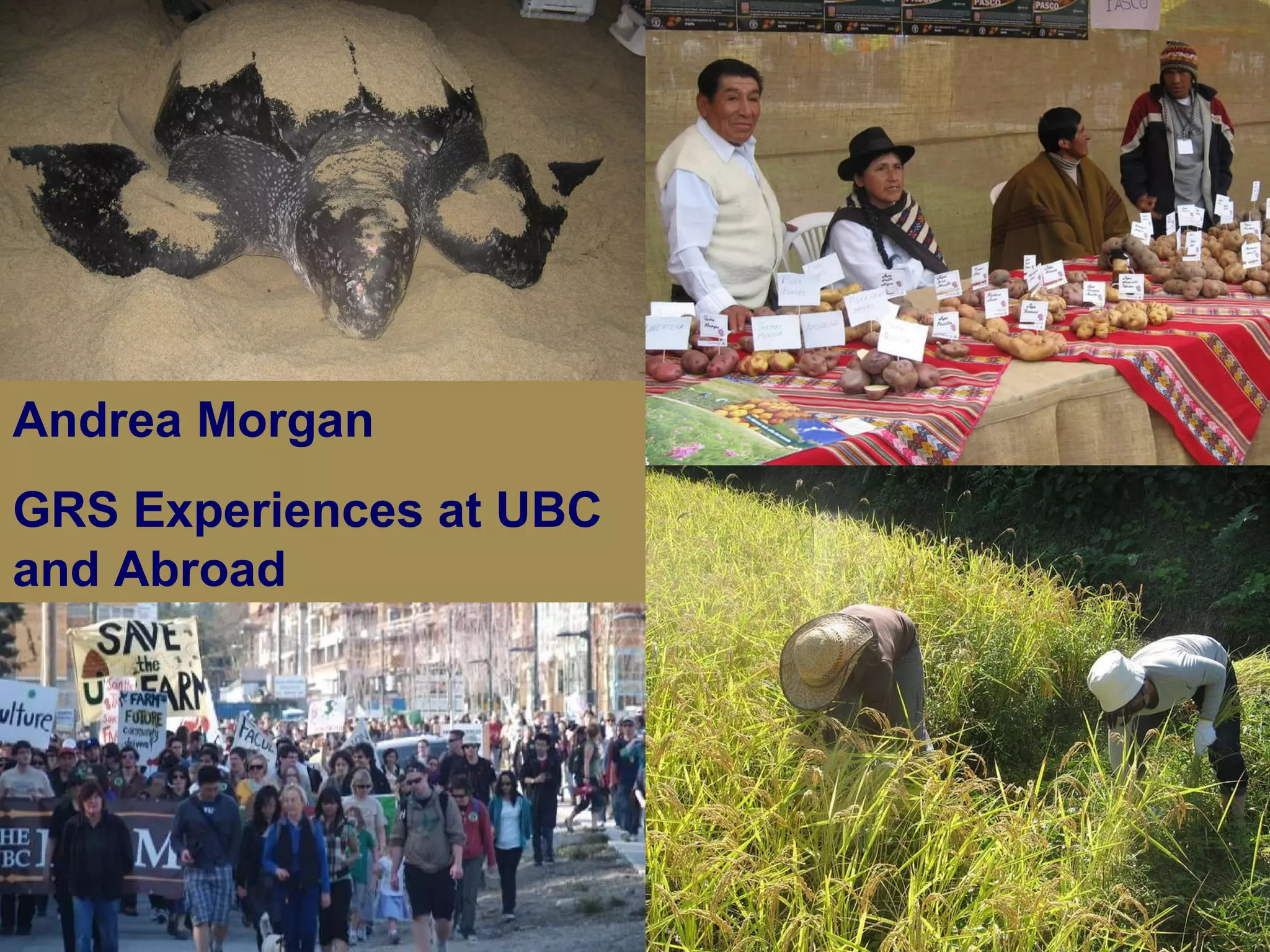 Grs Final Presentation - Andrea Morgan | PPT