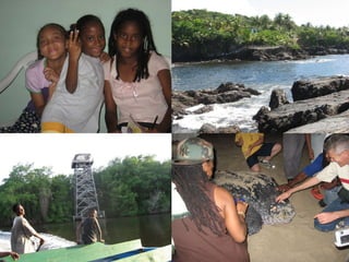 Grs Final Presentation - Andrea Morgan | PPT