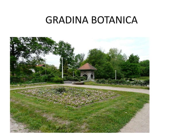 Gruia Andrei | PPTX