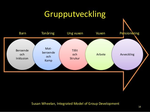 Grunder för självorganisation devlin 2014