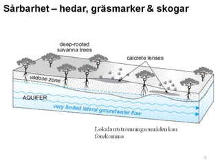 Grundvattenberoende ekosystem i sverige kent werner | PPT