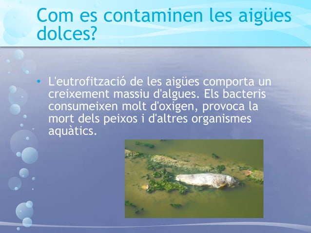 Grup 4 la contaminació de l’aigua dolça | PPT