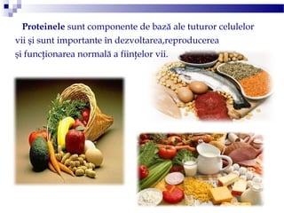Proteinele | PPT
