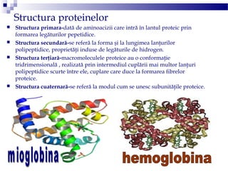 Proteinele | PPT