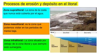 La interfase, ecología estructural | PPTX