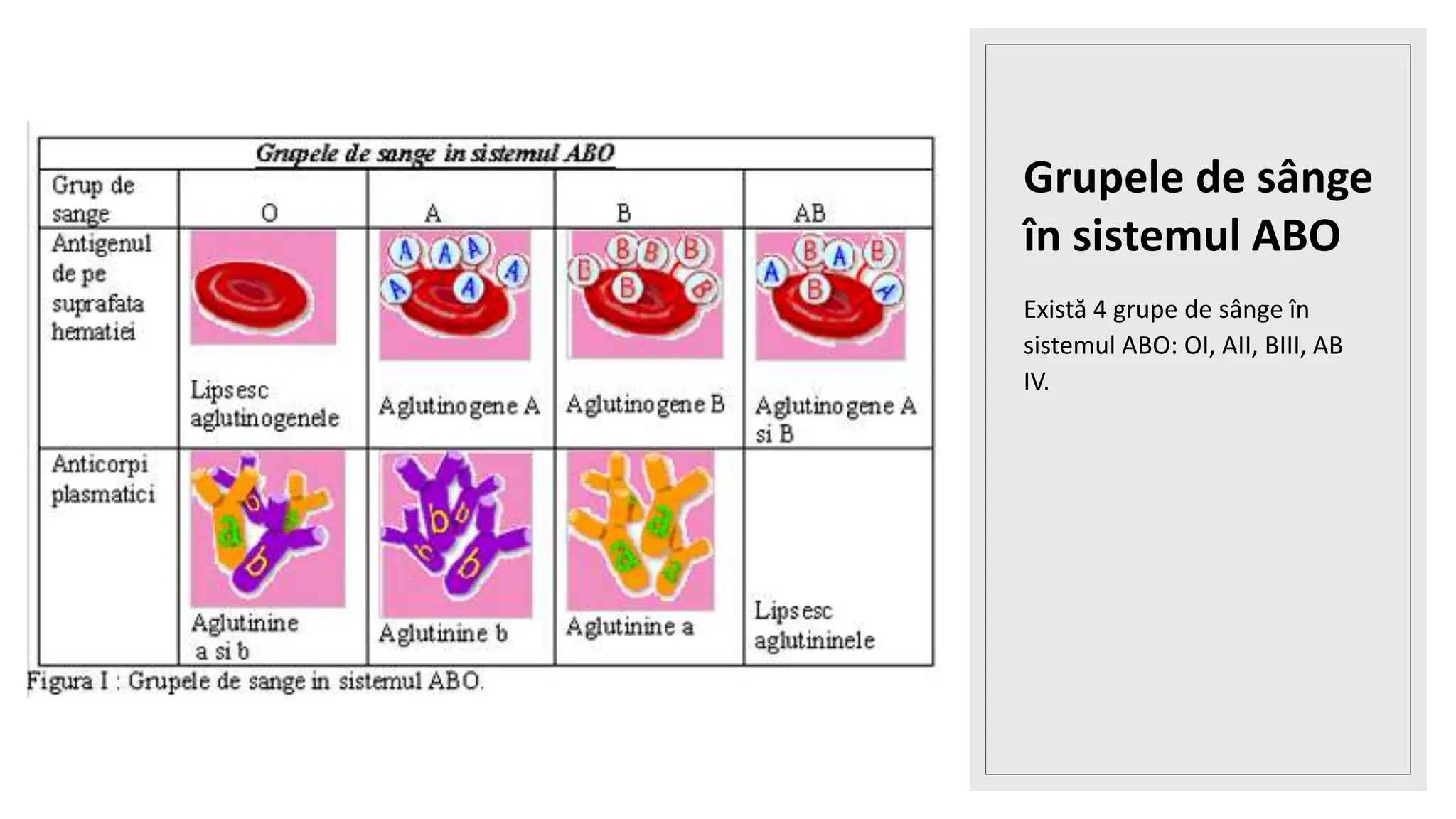 Grupele sanguine descriere si generalizare.pptx