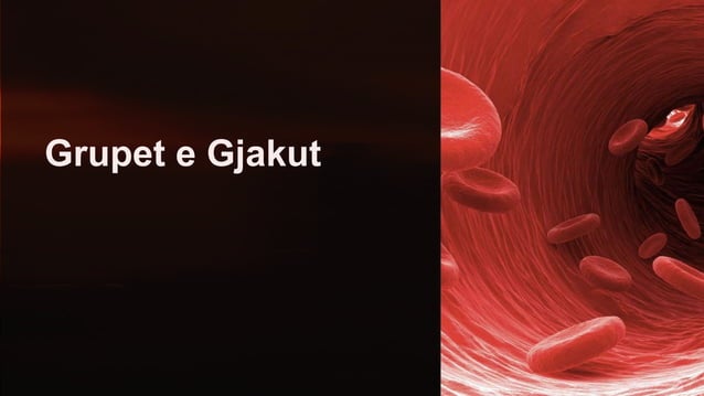 Grupet-e-Gjakut.pptx78787987987978878989 | PPT