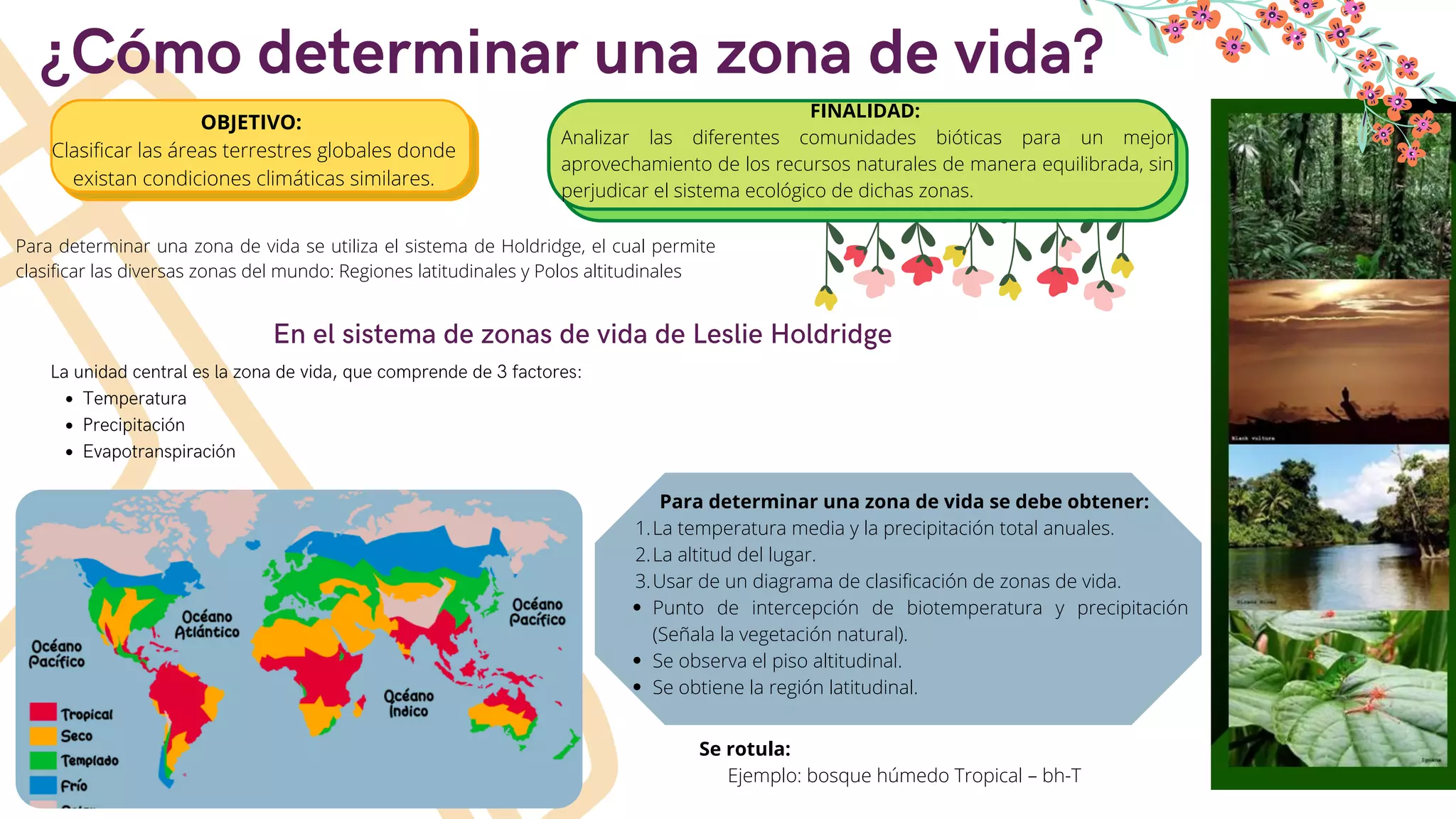 Zonas de vida de Holdridge | PDF