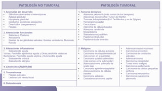 GLANDULAS SALIVALES GRUPO 1 -CIRUGIA - FINAL | PPTX