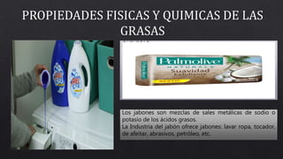 LIPIDOS Y GRASAS | PPTX