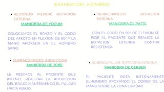 grupo 1 - ppts musculo esqueletico.pdfgrupo 1 - ppts musculo ...