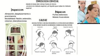 grupo 1 - ppts musculo esqueletico.pdfgrupo 1 - ppts musculo ...