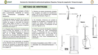 GRUPO 15-HEMATOCRITO. | PDF