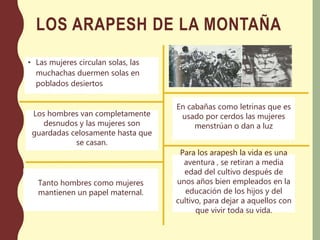 Cultura Arapesh de la montaña | PPT