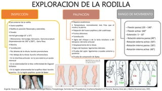 SEMIOLOGIA DEL APARATO LOCOMOTOR Y FRACTURAS.pptx