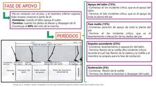 SEMIOLOGIA DEL APARATO LOCOMOTOR Y FRACTURAS.pptx