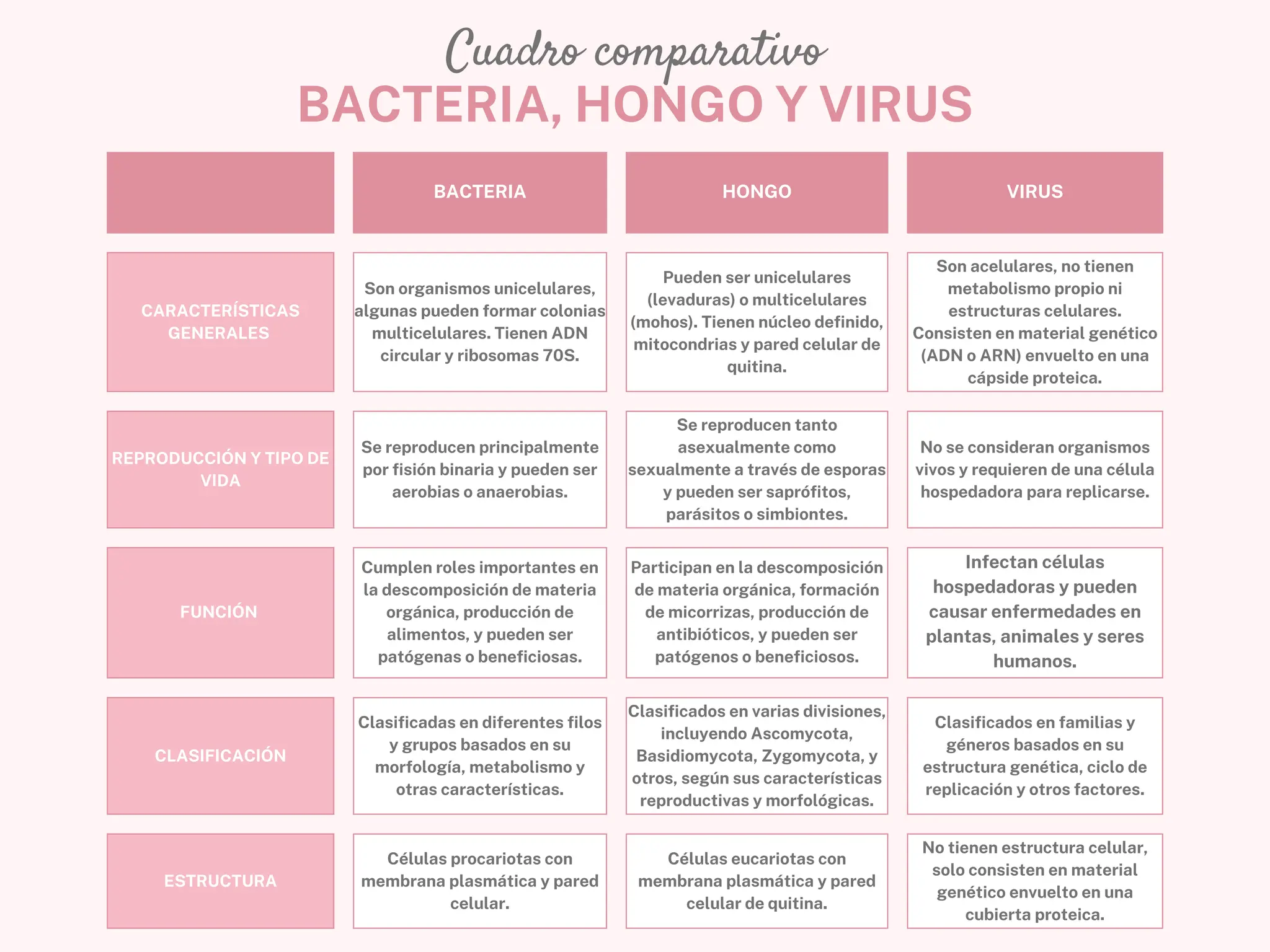 GRUPO 2 - Cuadro comparativo (bacteria, hongo y virus).pdf
