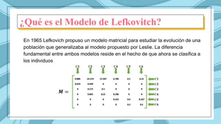 grupo 2 Algebra.pptx
