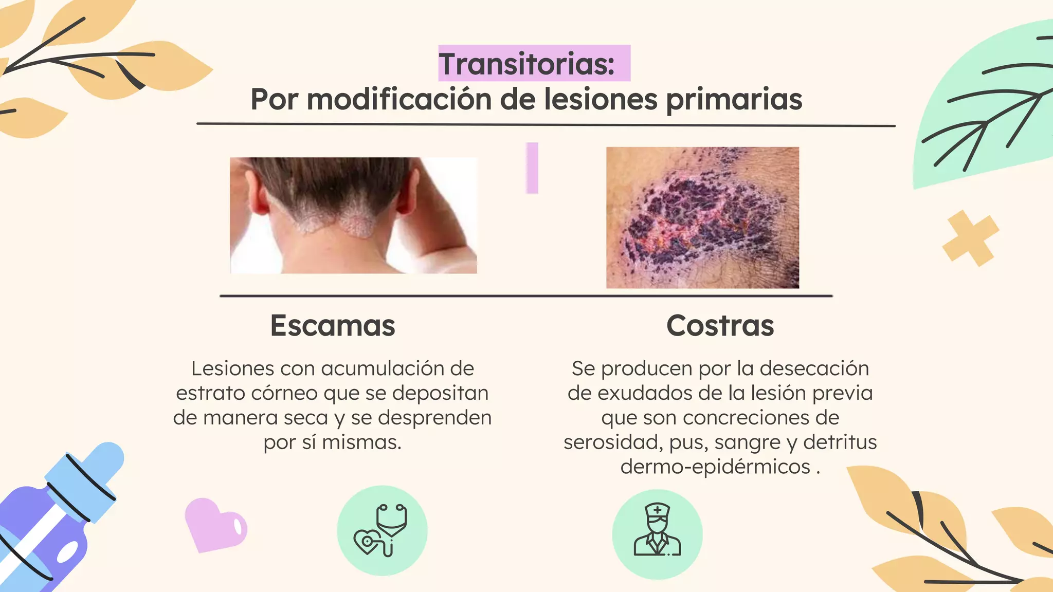 Grupo 2 Lesiones elementales de la piel.pptx