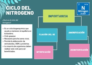 Ciclo Del Nitrogeno Esquema