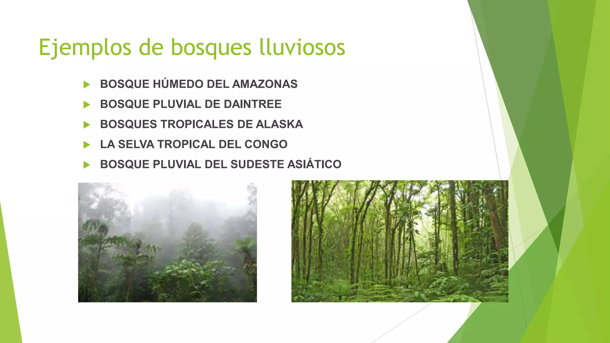 Bosques en el Ecuador | PPTX
